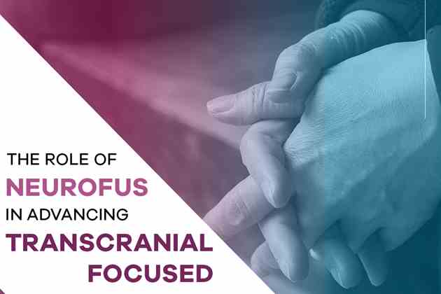 Brainbox | Integrating Solutions for Neuroscience